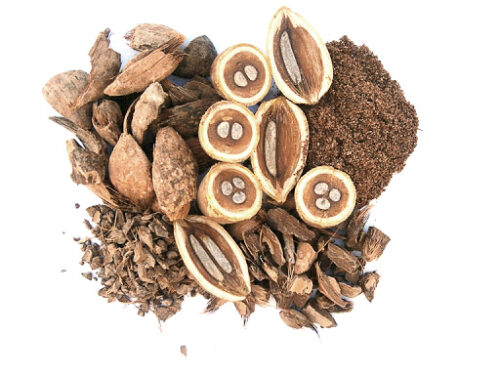 Cosméticos naturais que contém Coco Babaçu - AhoAloe